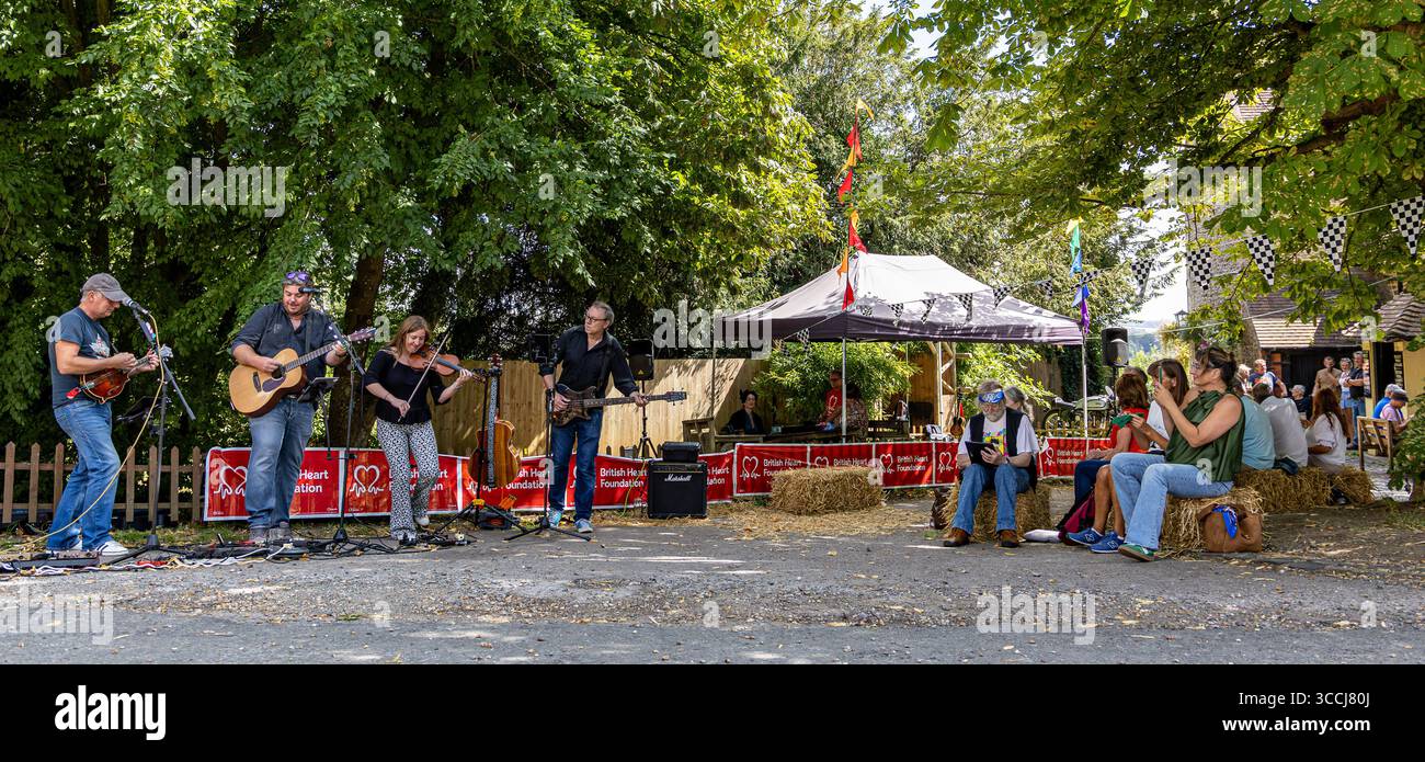 Outdoor live music performance with the band Splat The Rat at The Dumb ...