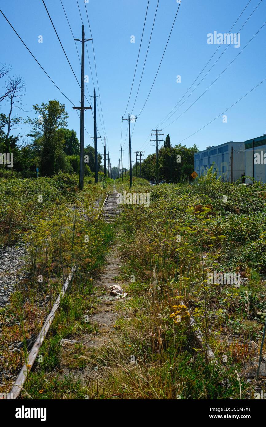 Abandoned railway line running hi-res stock photography and images - Alamy