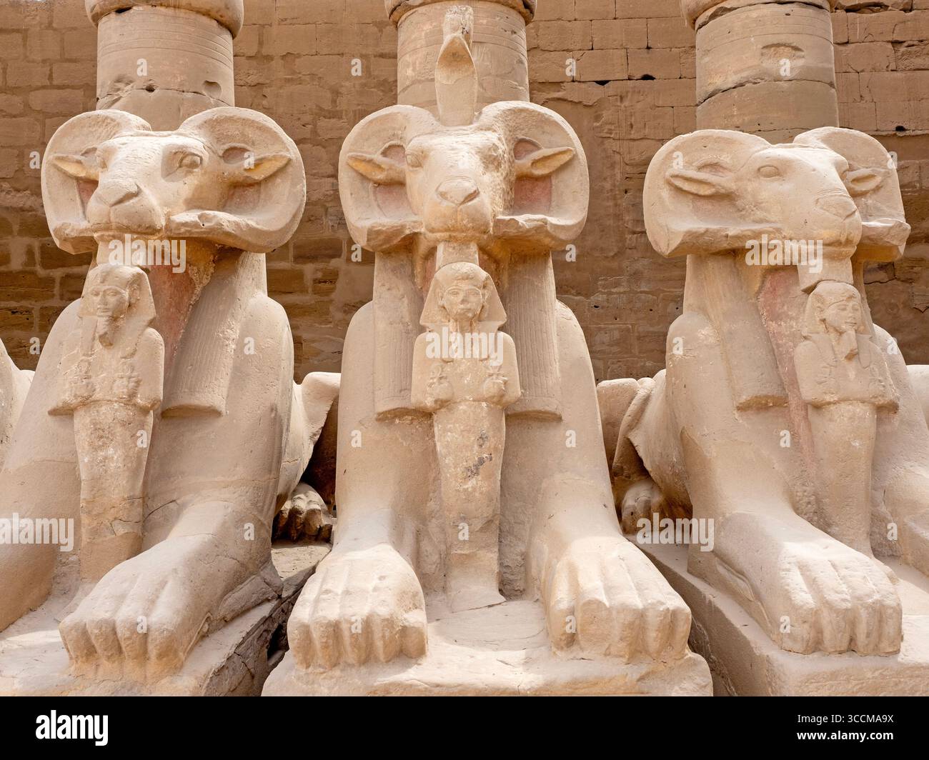 Sphinxes entrance karnak temple hi-res stock photography and images - Alamy
