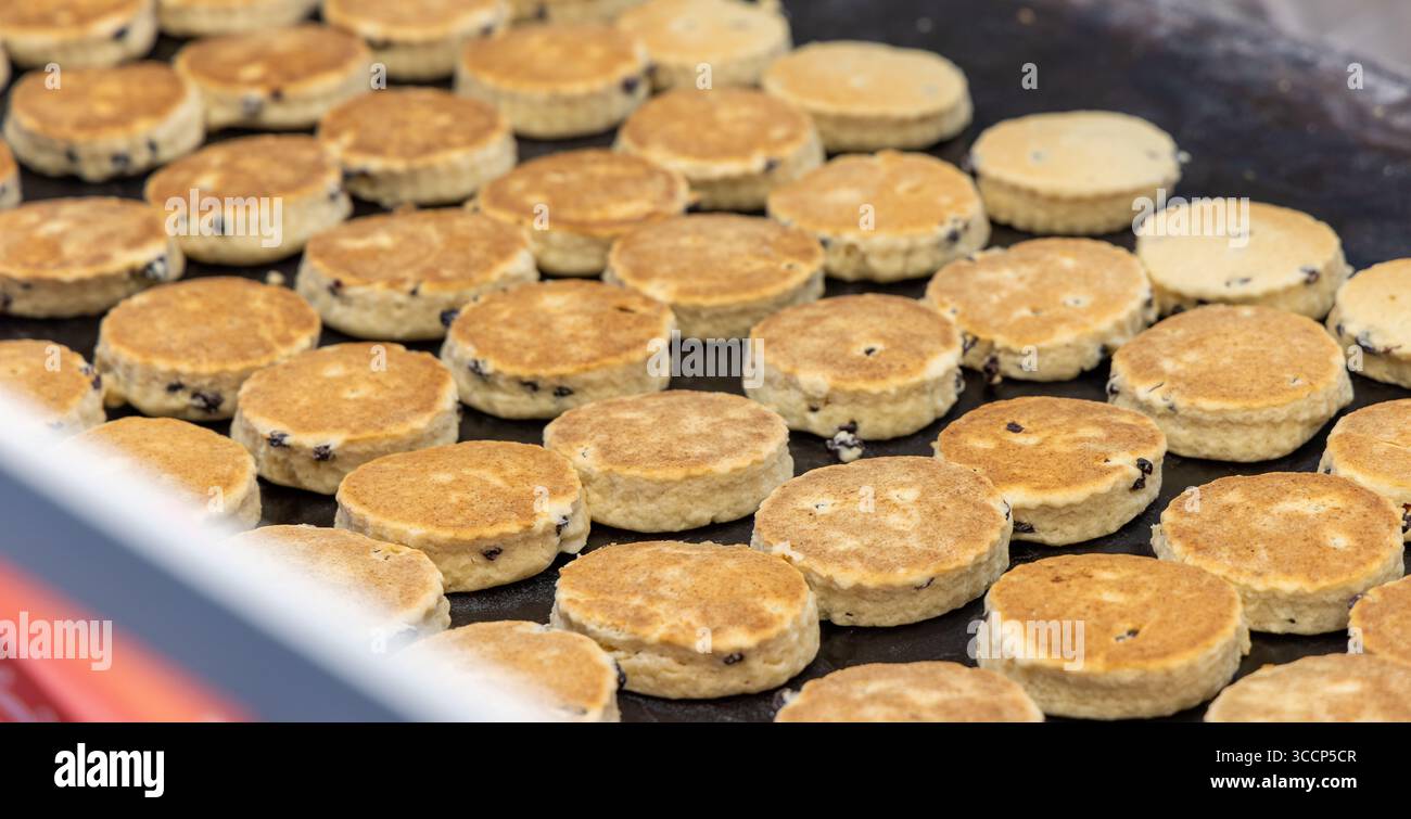 Delicious welsh cakes baking on a griddle, a traditional treat from ...