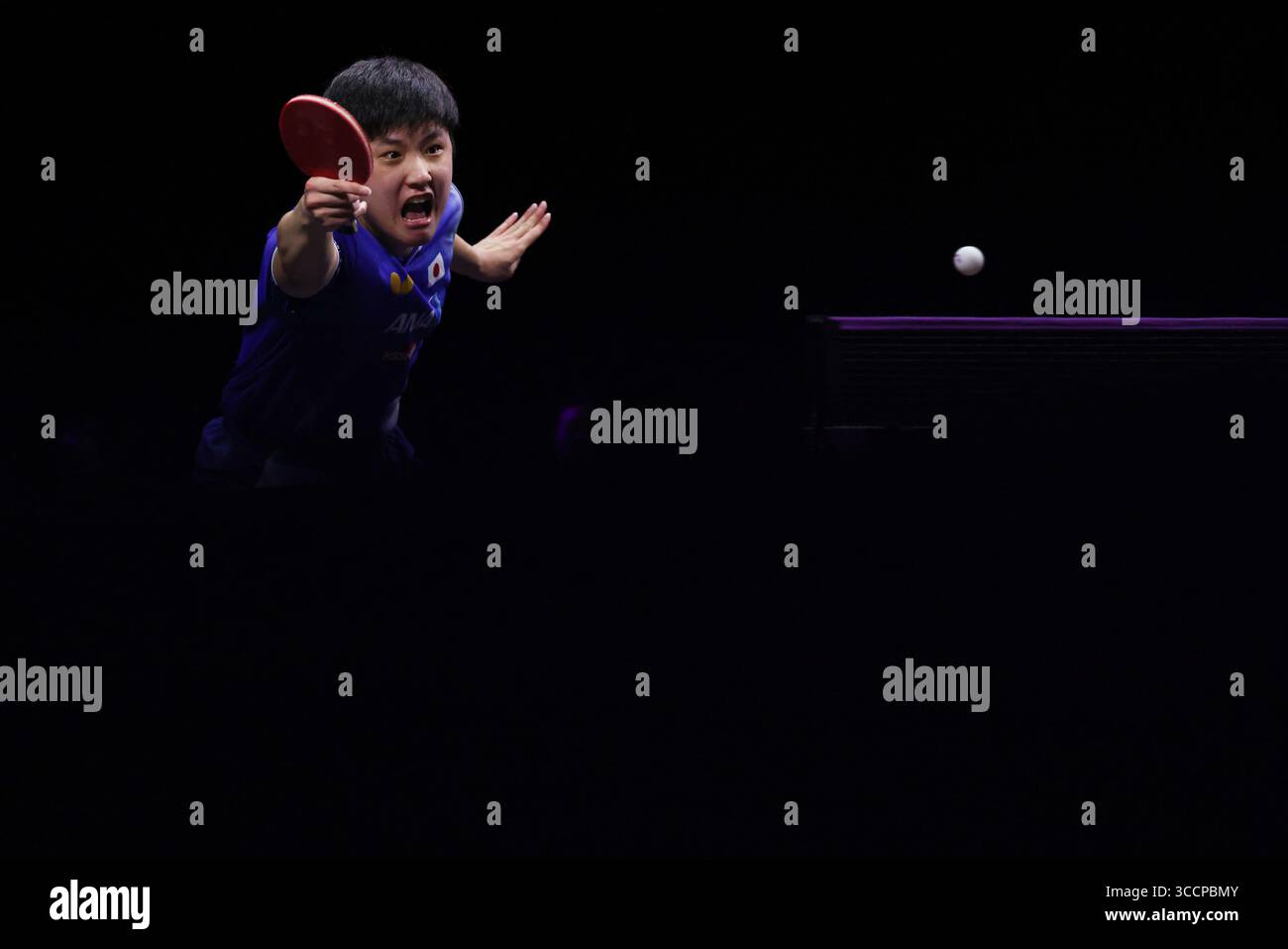 Yokohama BUNTAI, Kanagawa, Japan. 11th Aug, 2025. Tomokazu Harimoto (JPN), AUGUST 11, 2025 ...