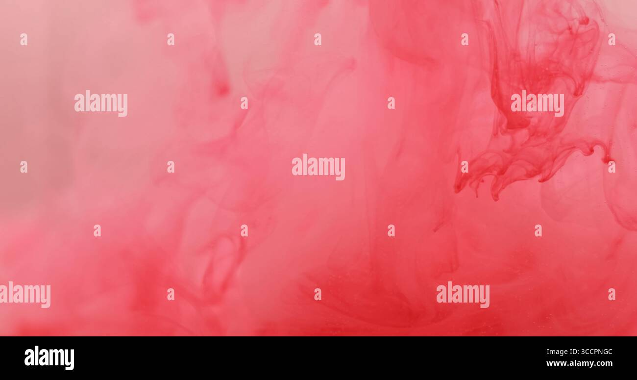 Cloud dye. Blur paint splash. Red pink color defocused fog floating ...