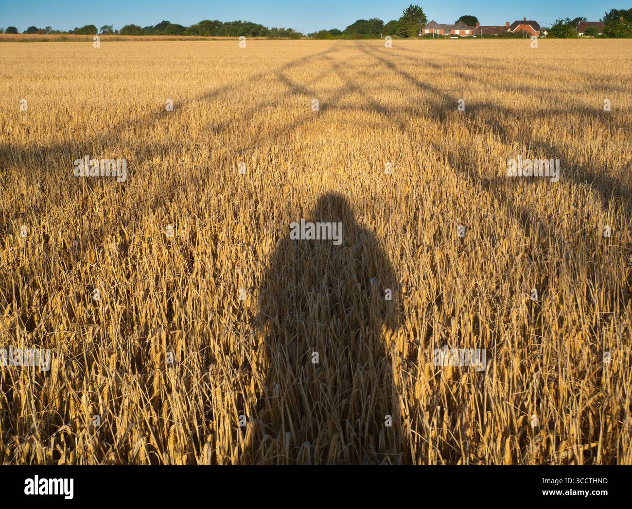 Grid of elongated shapes hi-res stock photography and images - Alamy