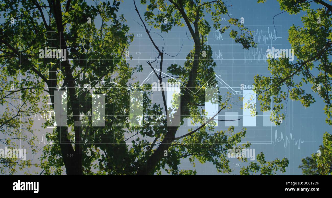 Displaying data overlay over forest canopy with bar charts line graphs ...