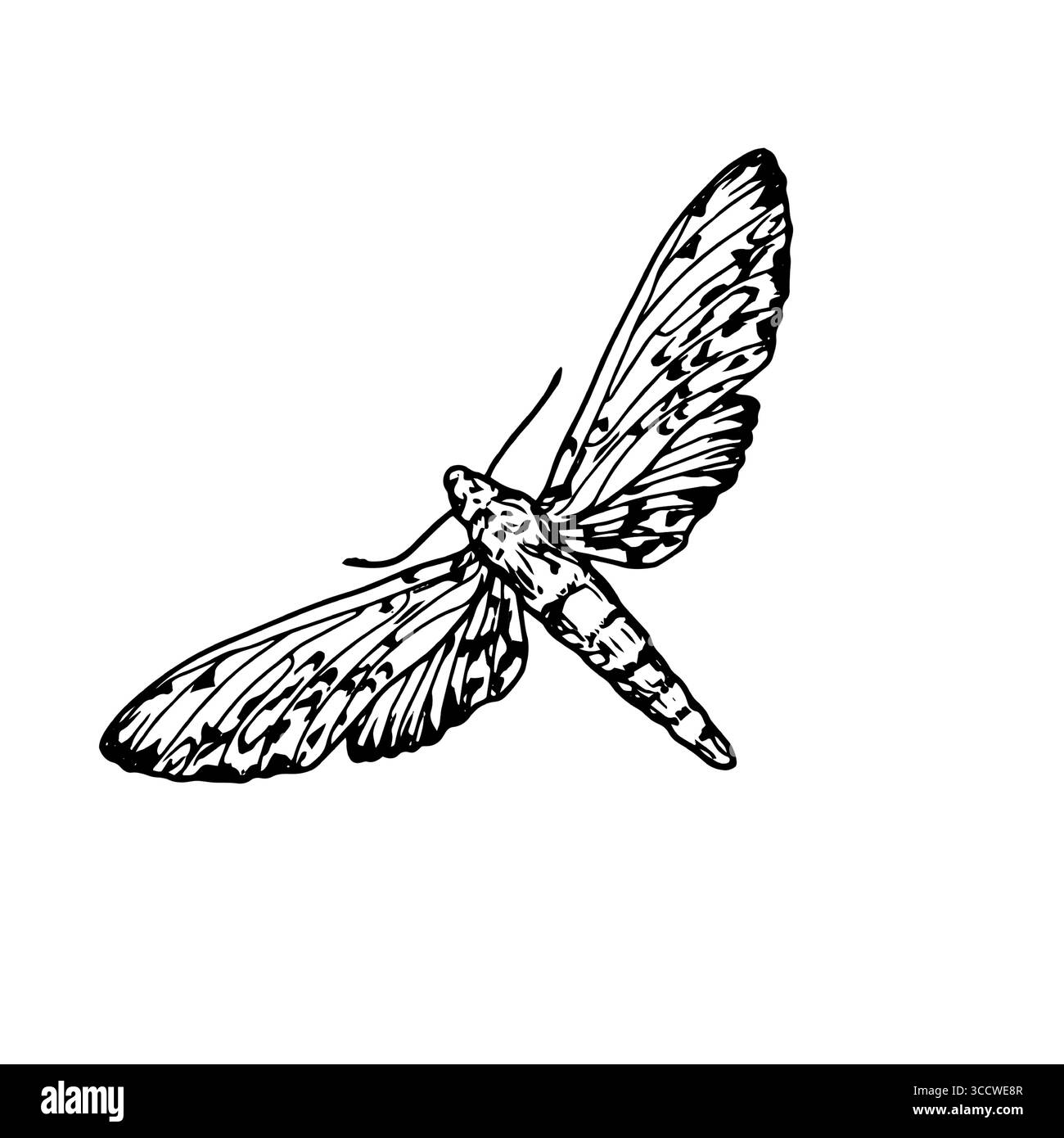 Illustration giant Black and White Stock Photos & Images - Alamy