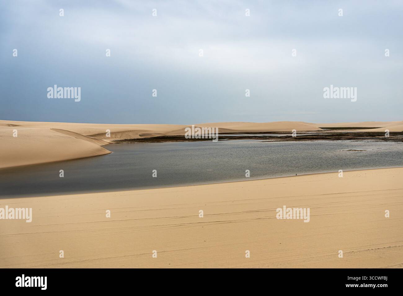 Dunes and lagoons of Atins, Lencois Maranhenses, Barreirinhas in Brazil ...