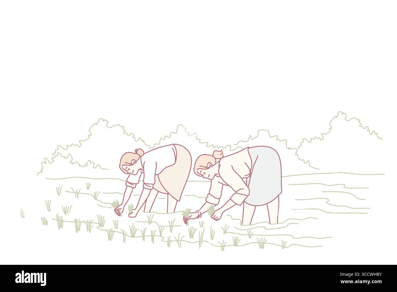 Women standing in water on plantation working on rice field. Female ...