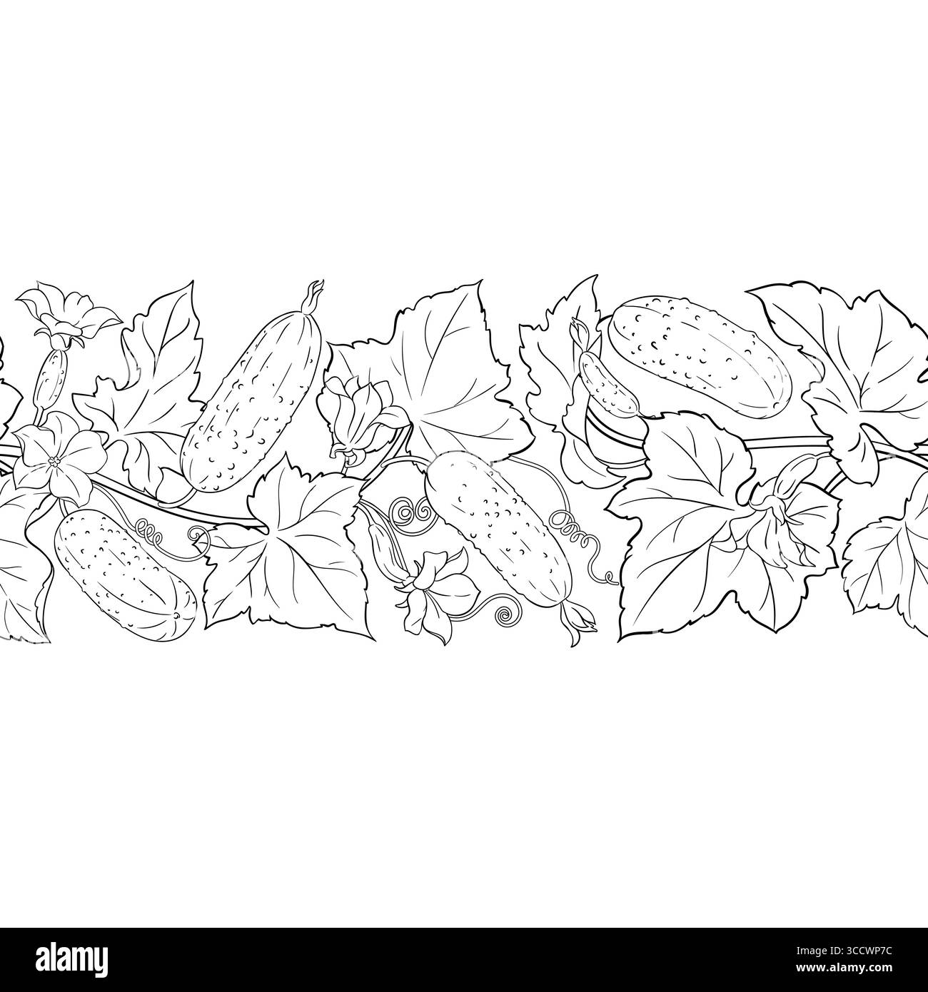 Seamless vegetable pattern linear Stock Vector Images - Alamy