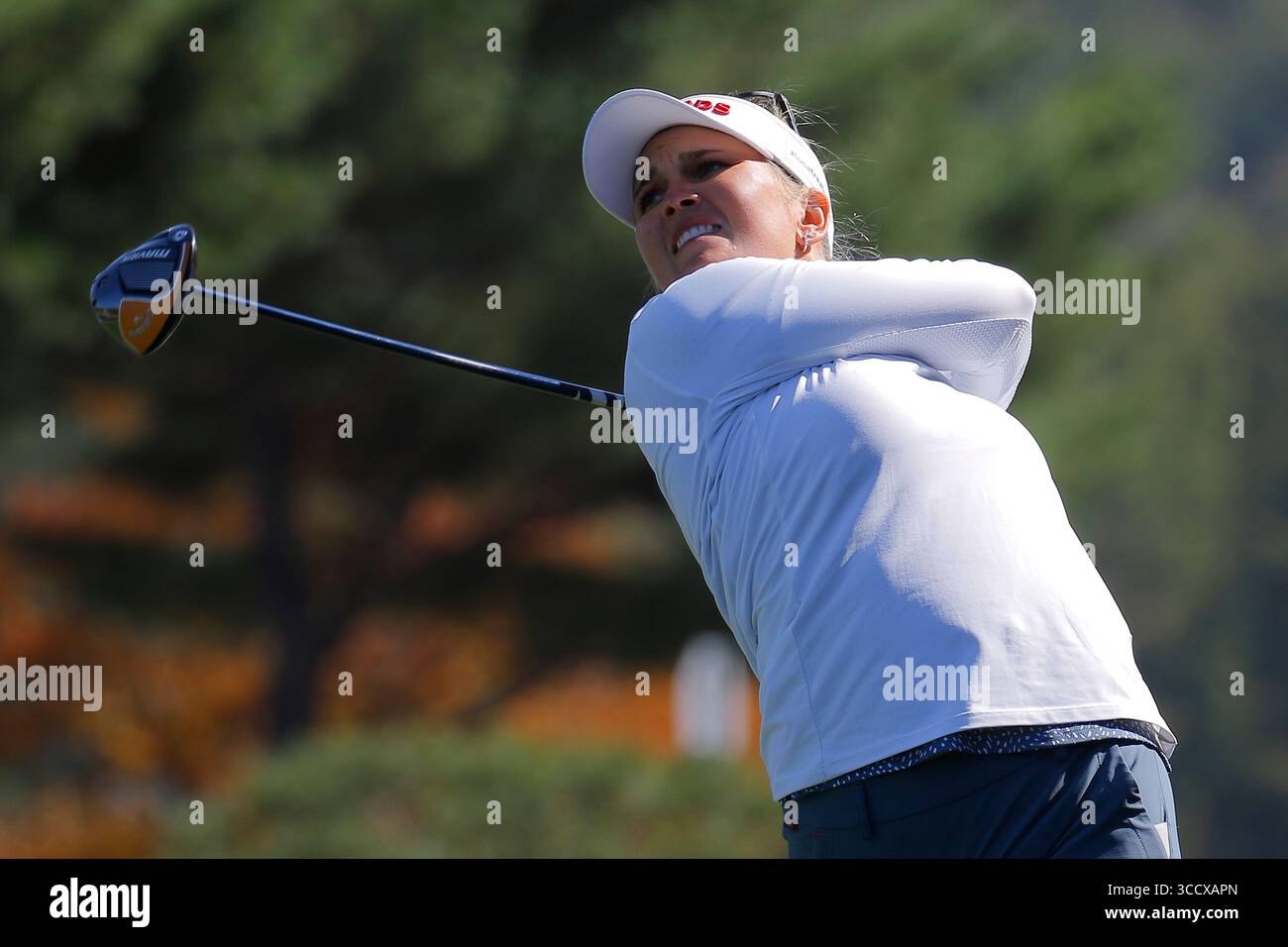 Lpga championships hi-res stock photography and images - Alamy