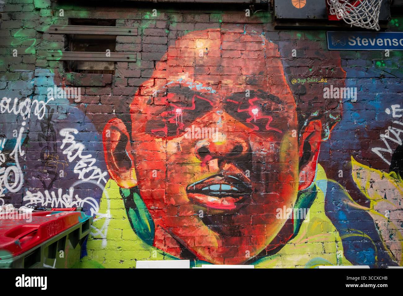Street Art in Stevenson Lane, Melbourne, Australia Stock Photo - Alamy
