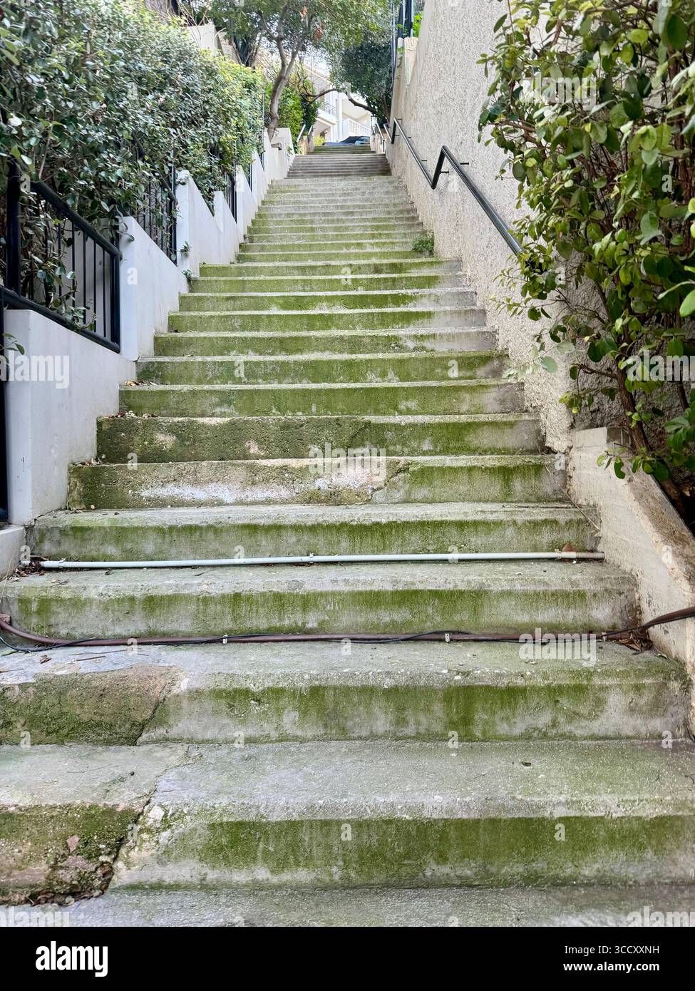 Moss-covered stone stairs ascending through a quiet residential area in ...