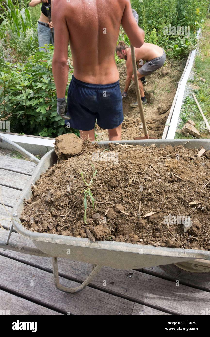 gardener working with flowers and plants outdoors in the nature ...