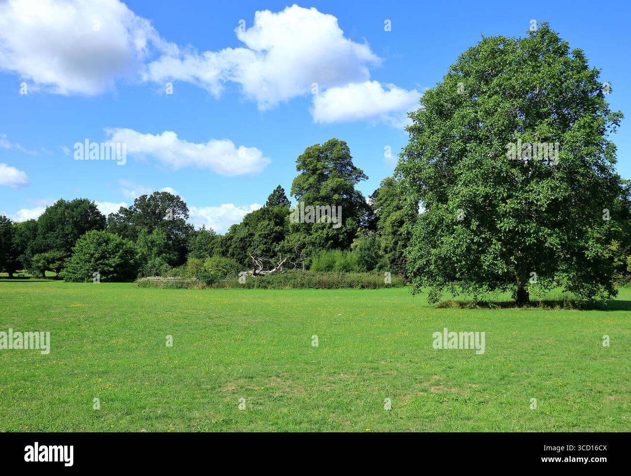 Camer park hi-res stock photography and images - Alamy
