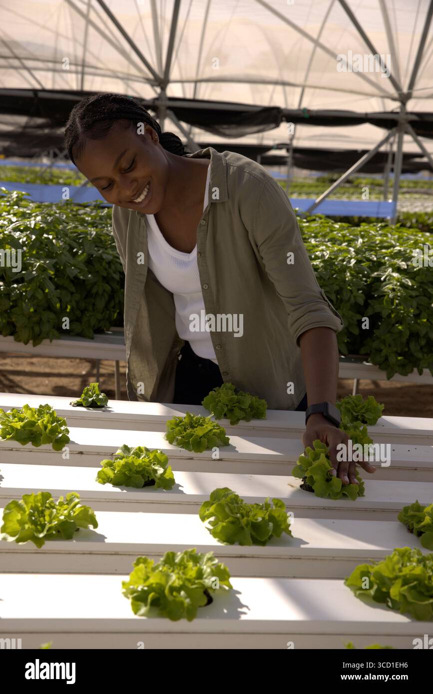 African American woman leaning forward and touching lettuce on ...