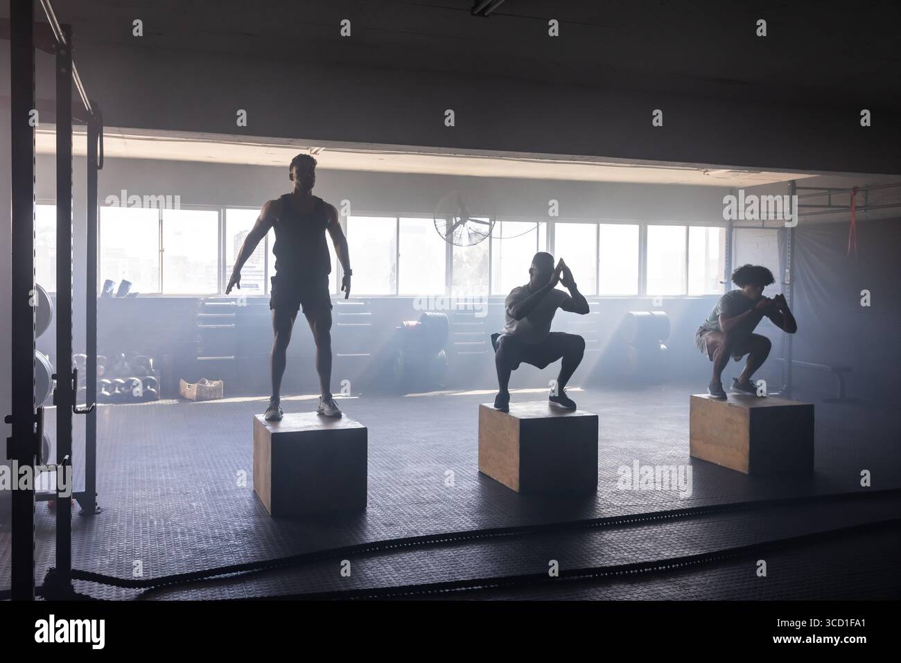 Diverse male workout partners performing squat jumps on wooden ...