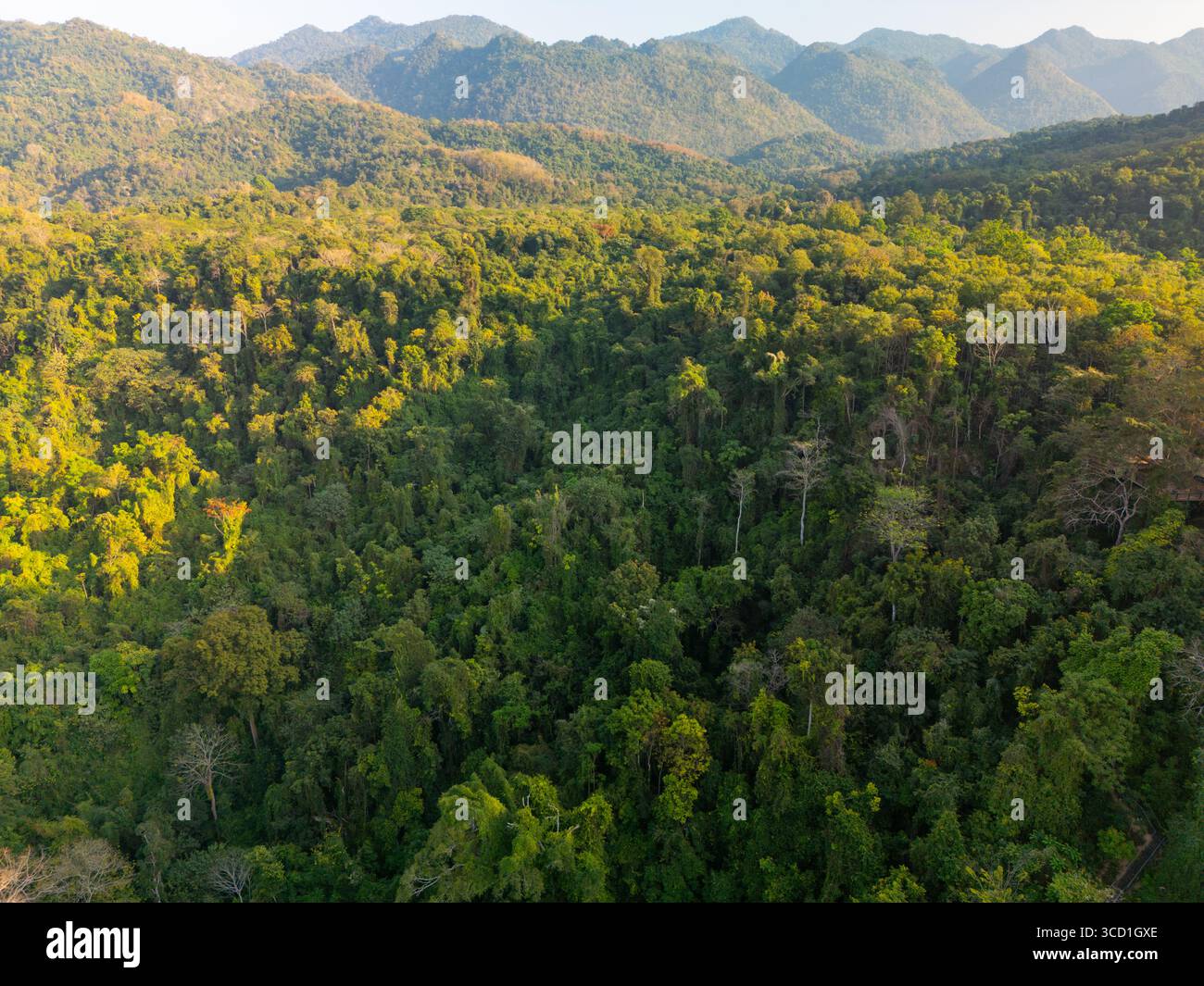 Rainforest canopy rolling mountains hi-res stock photography and images ...