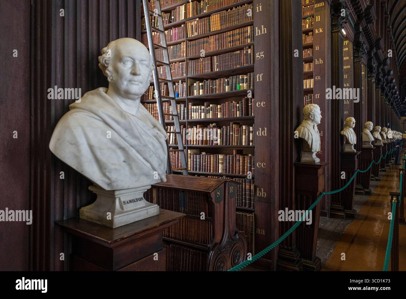 Marble busts adjoining alcoves in the Long Room library chamber, Old ...