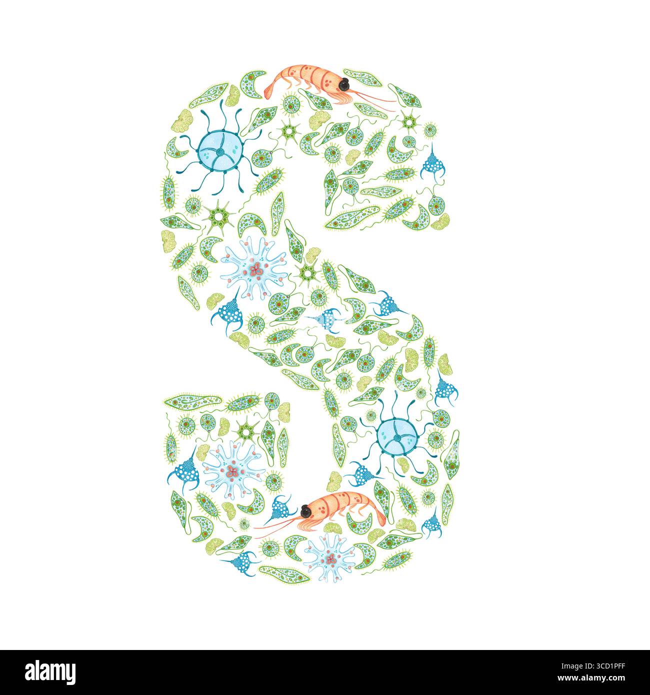 Microorganism marine Cut Out Stock Images & Pictures - Alamy