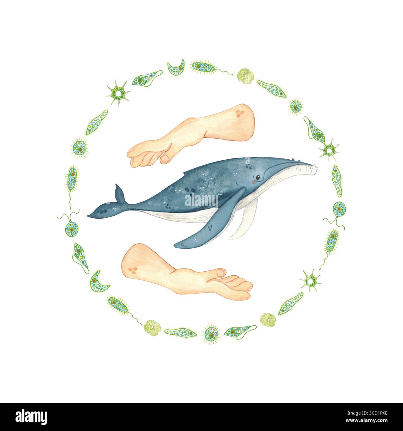 Round frame of phytoplankton with human hands protecting a whale ...