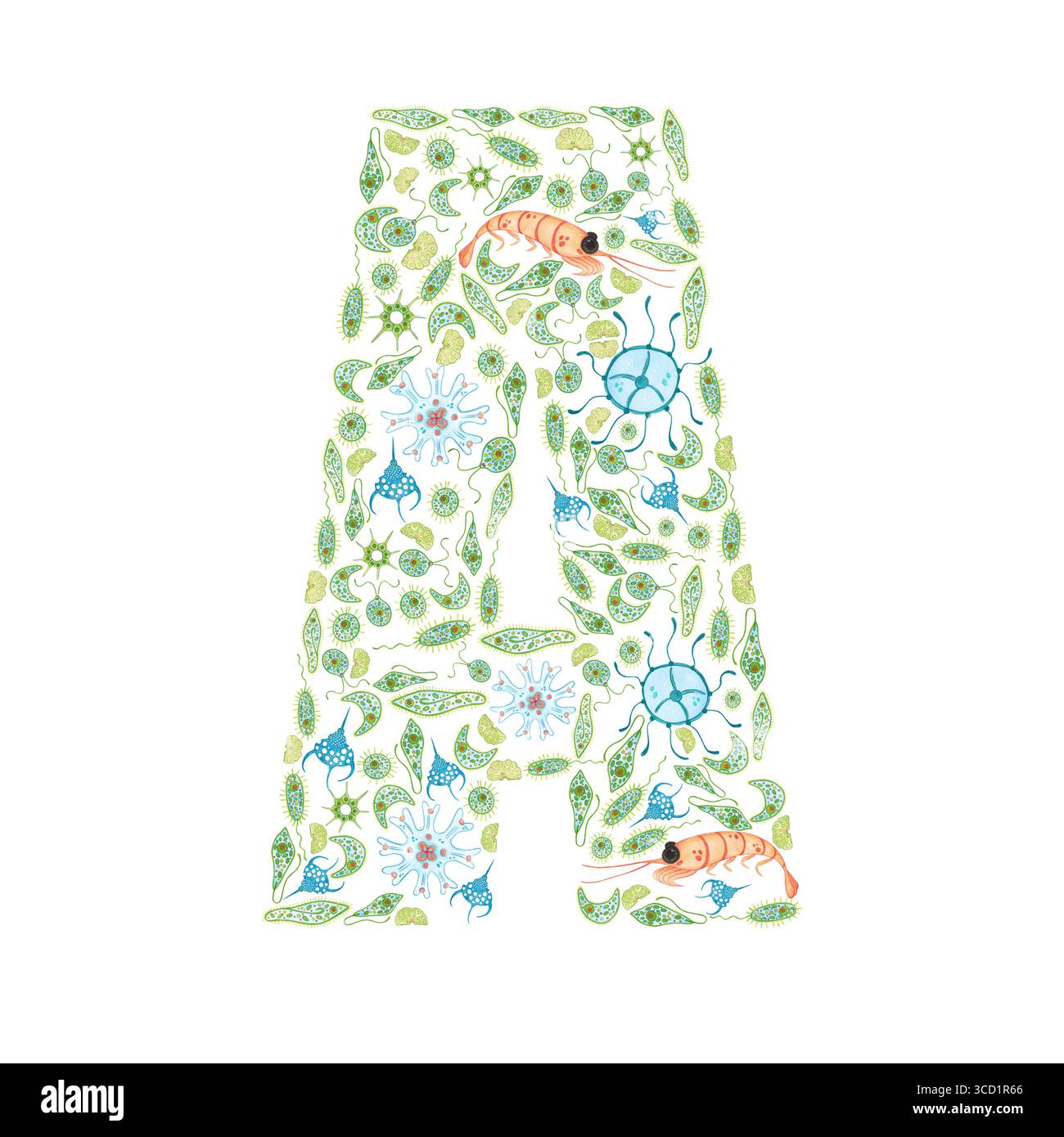 Microorganism marine Cut Out Stock Images & Pictures - Alamy