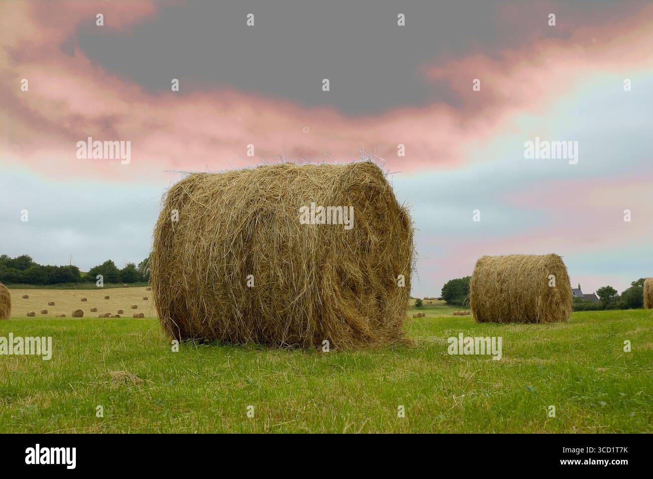 Field straw bales under sunset hi-res stock photography and images - Alamy