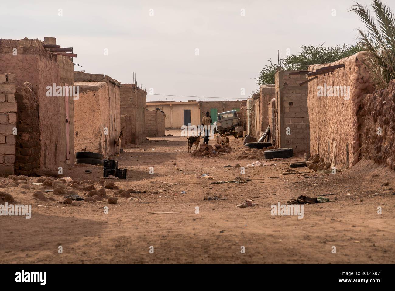 Desert street in Fderik, Mauritania with local man leads goats past ...