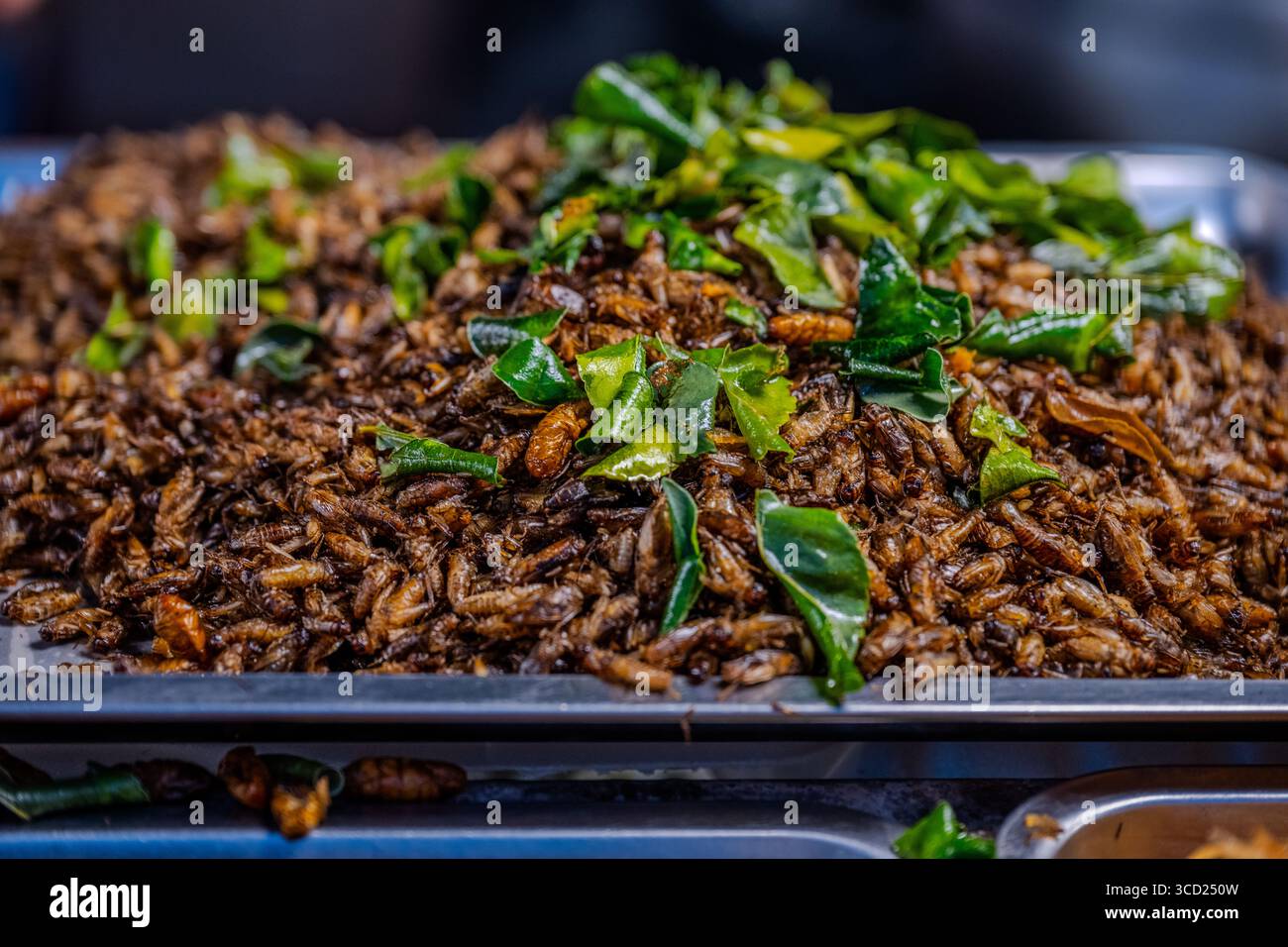 Fried Crickets with Kaffir Lime Leaves – Traditional Edible Insects ...