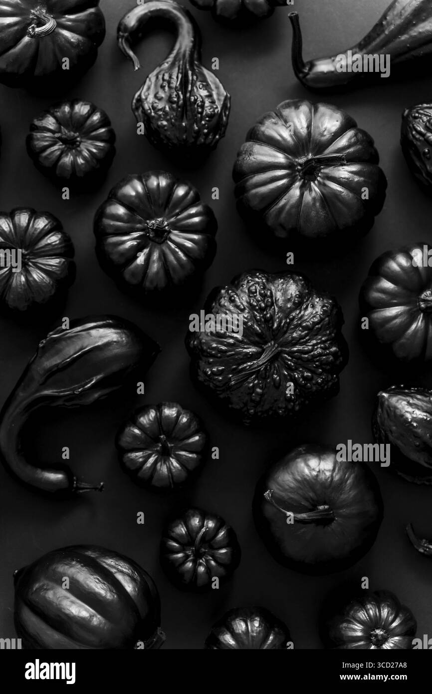 Flat lay view small Black and White Stock Photos & Images - Alamy