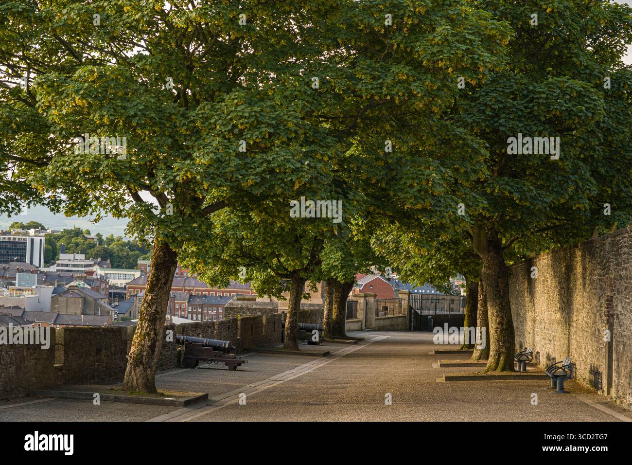 Historic canons on the platform portion of the Derry City Walls, Derry ...