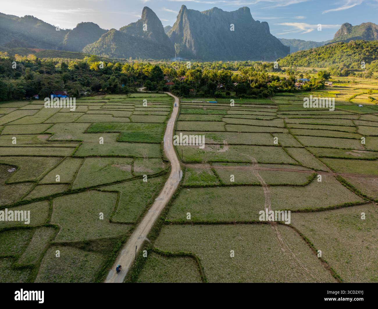 Aerial View of Rural Dirt Road Passing Through Patchwork Rice Fields ...