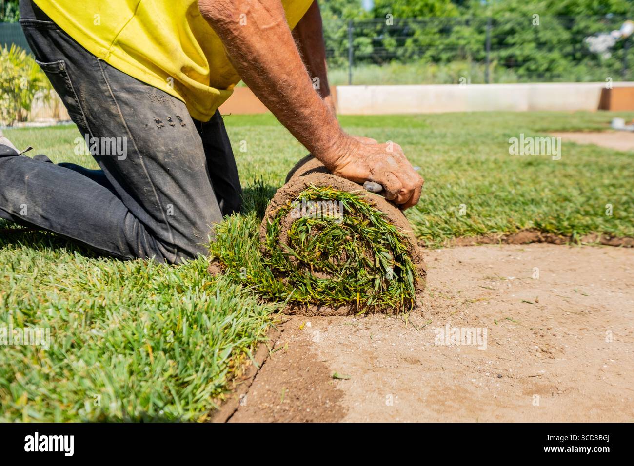 Turfgrass unrolling hi-res stock photography and images - Alamy