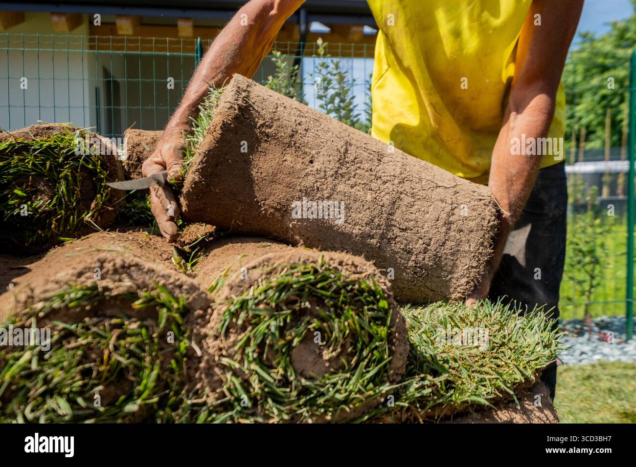 Manual lawn install hi-res stock photography and images - Alamy