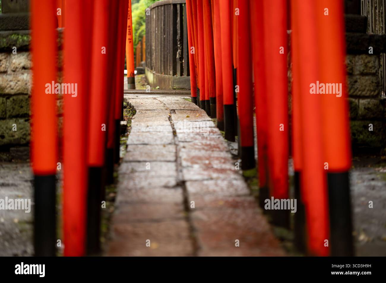 Pathway through red torii hi-res stock photography and images - Alamy