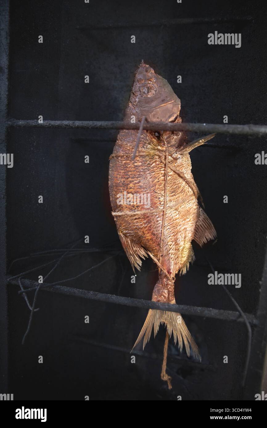 Whole fish tied with string and hanging vertically inside a smokehouse ...