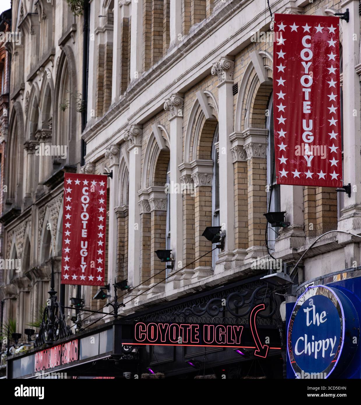 Cardiff uk august 2025 coyote hi-res stock photography and images - Alamy