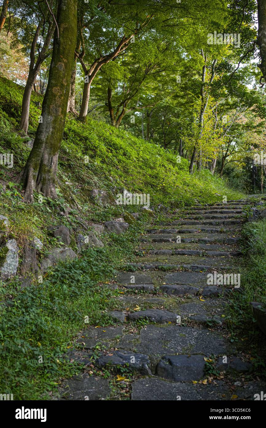 Stone steps on walking path along hillside, Maruyamacho, Higashiyama ...
