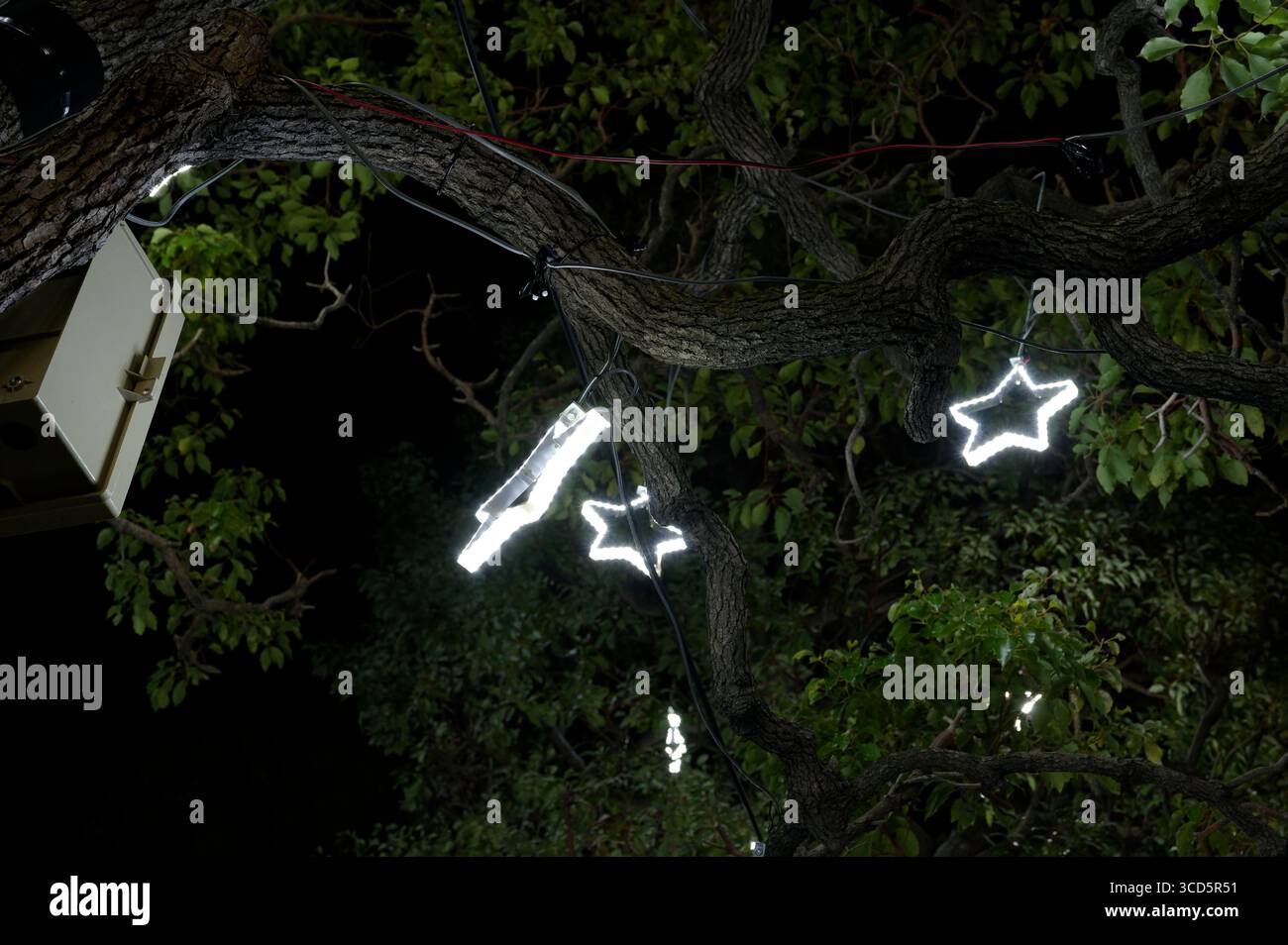 Glowing star-shaped lights hanging from tree branches on a dark night in Tokyo's Sumida City ...