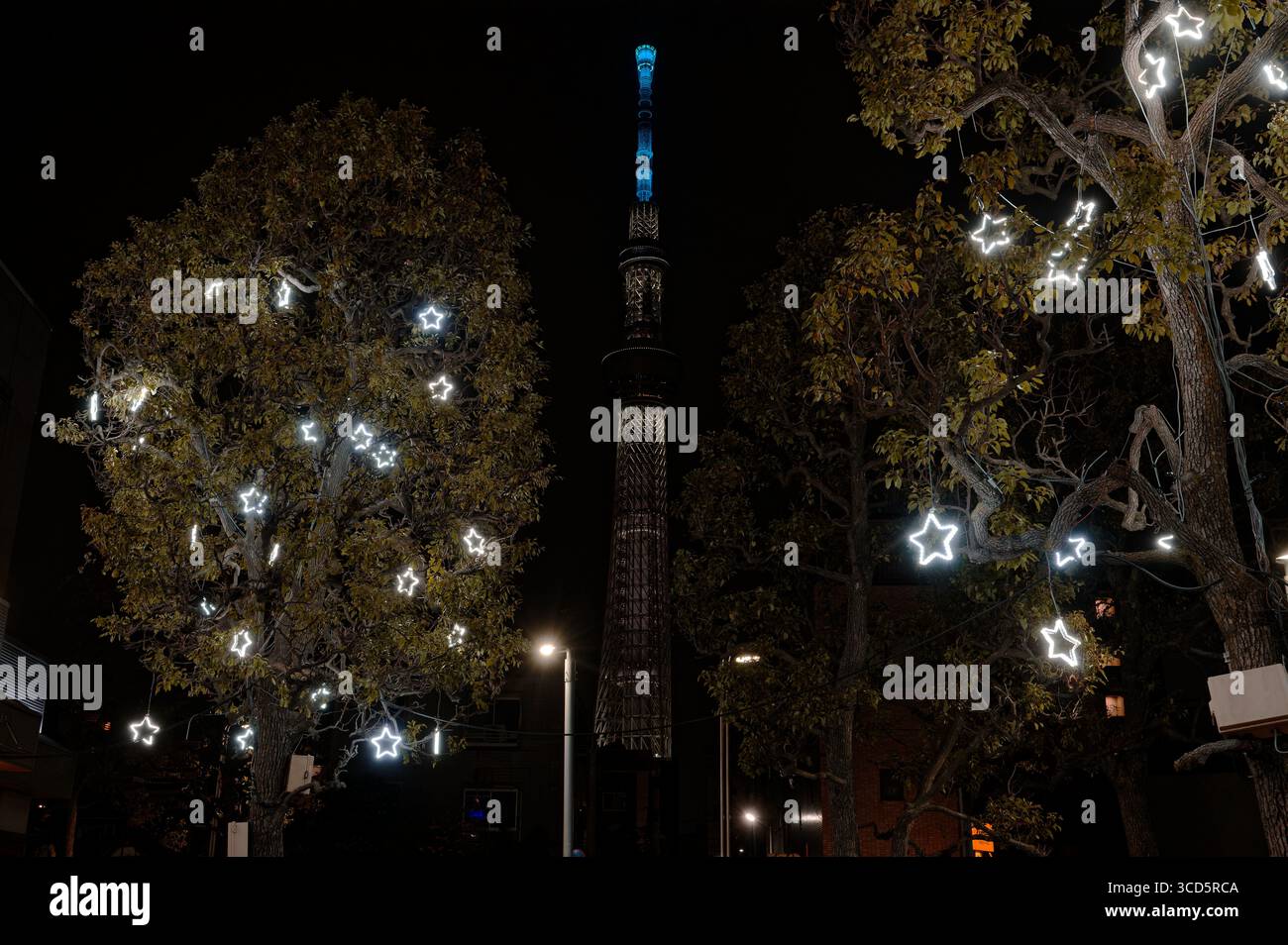 Twinkling trees hi-res stock photography and images - Alamy