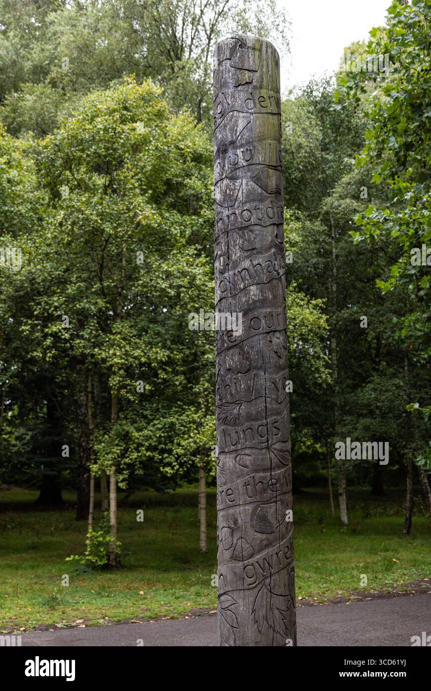 Cardiff uk august 2025 wooden hi-res stock photography and images - Alamy