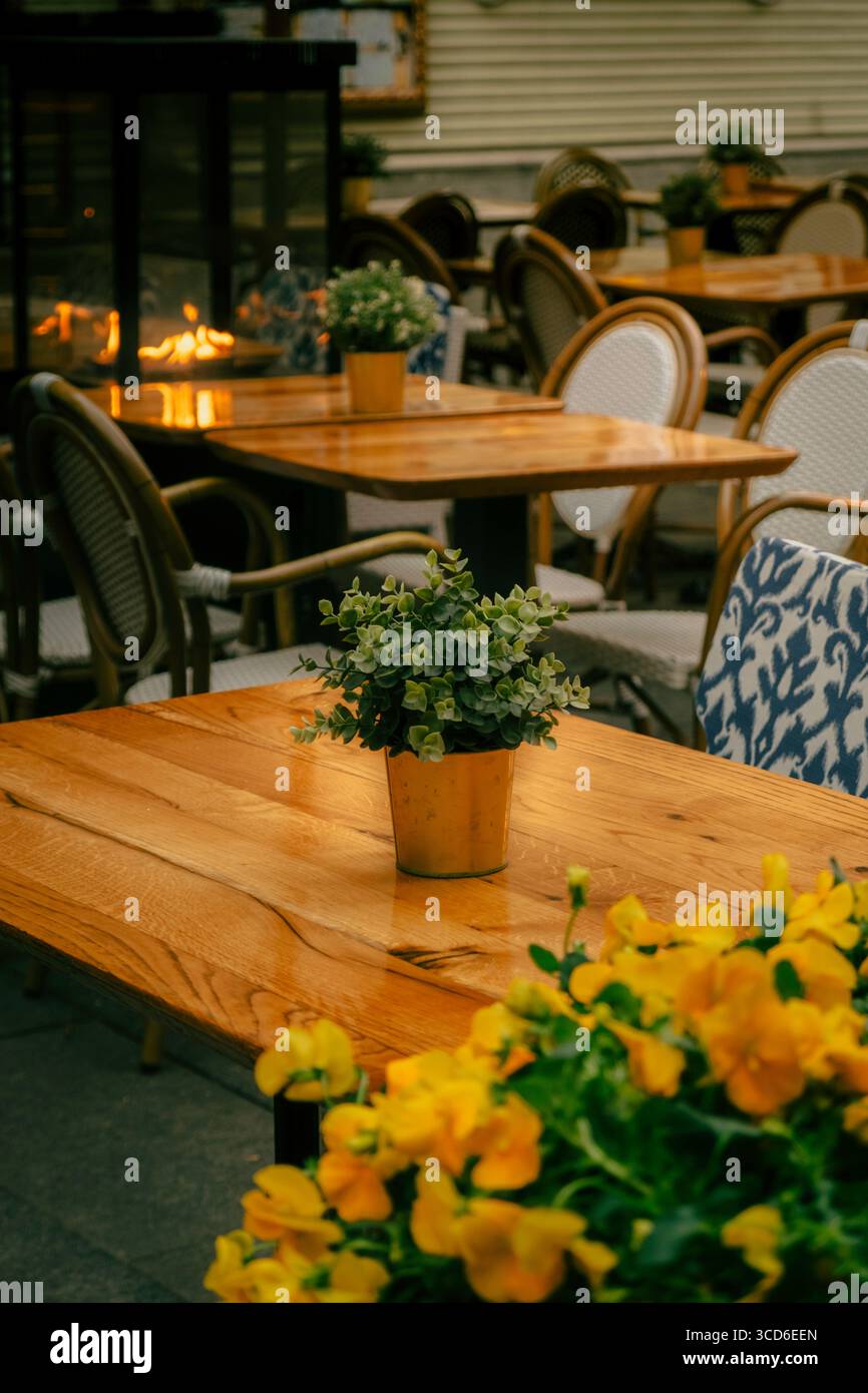 Cozy outdoor café with wooden tables, potted plants, and warm ambient ...