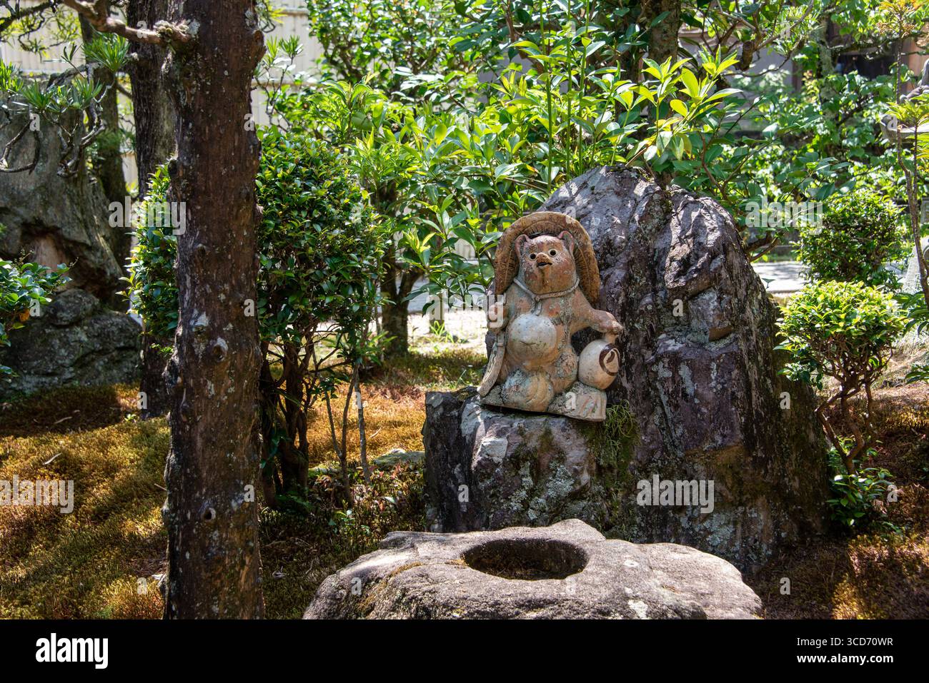 Buddhist Tanuki Japanese raccoon dog stone sculpture at Hozanji Temple ...