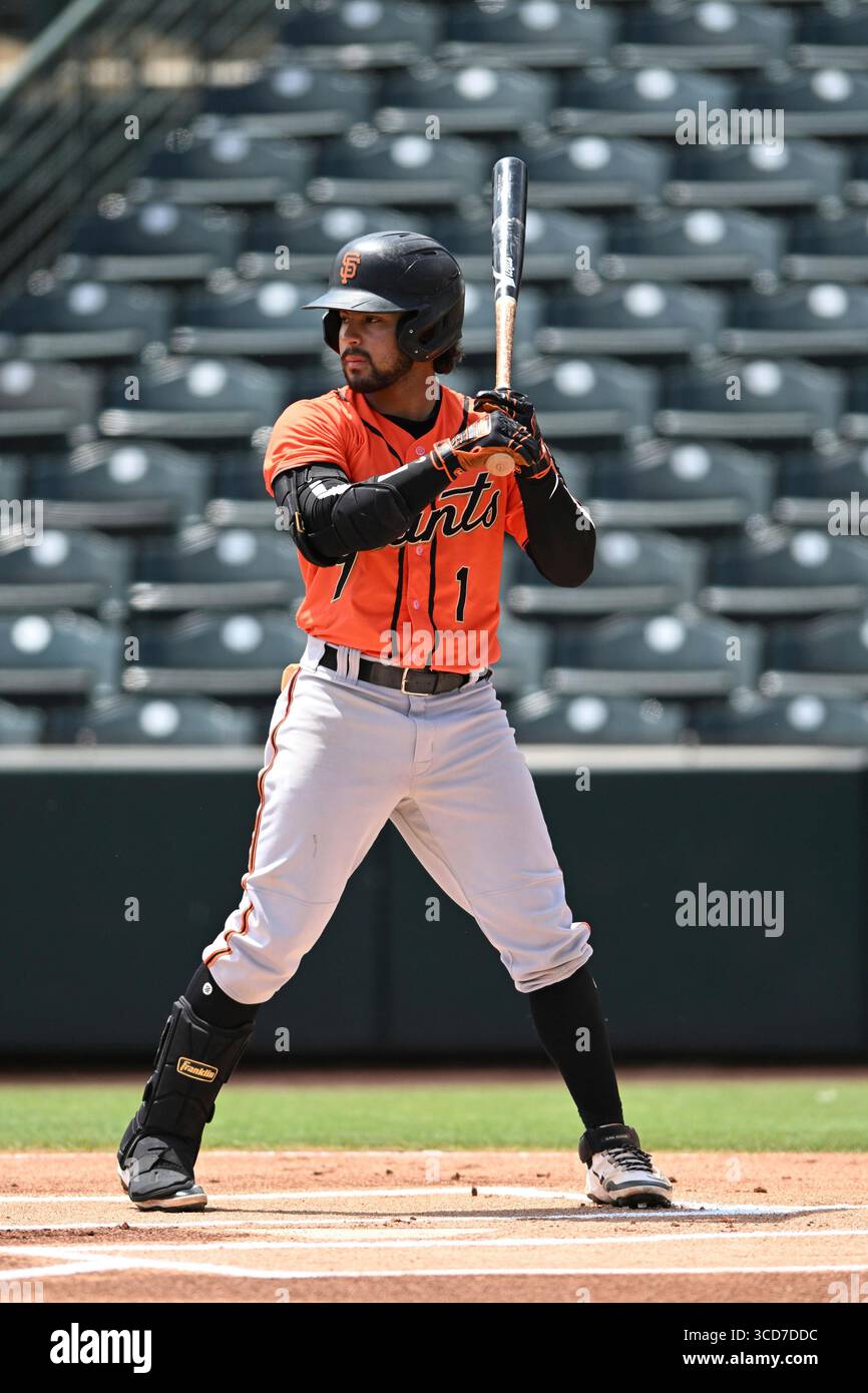 Jhonny Level (1) of the ACL Giants at bat during an Arizona Complex ...