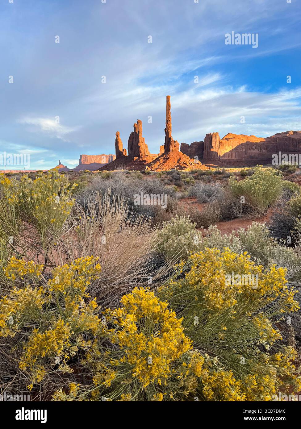 Rubber Rabbitbrush and the sandstone rock formations known as Totem ...
