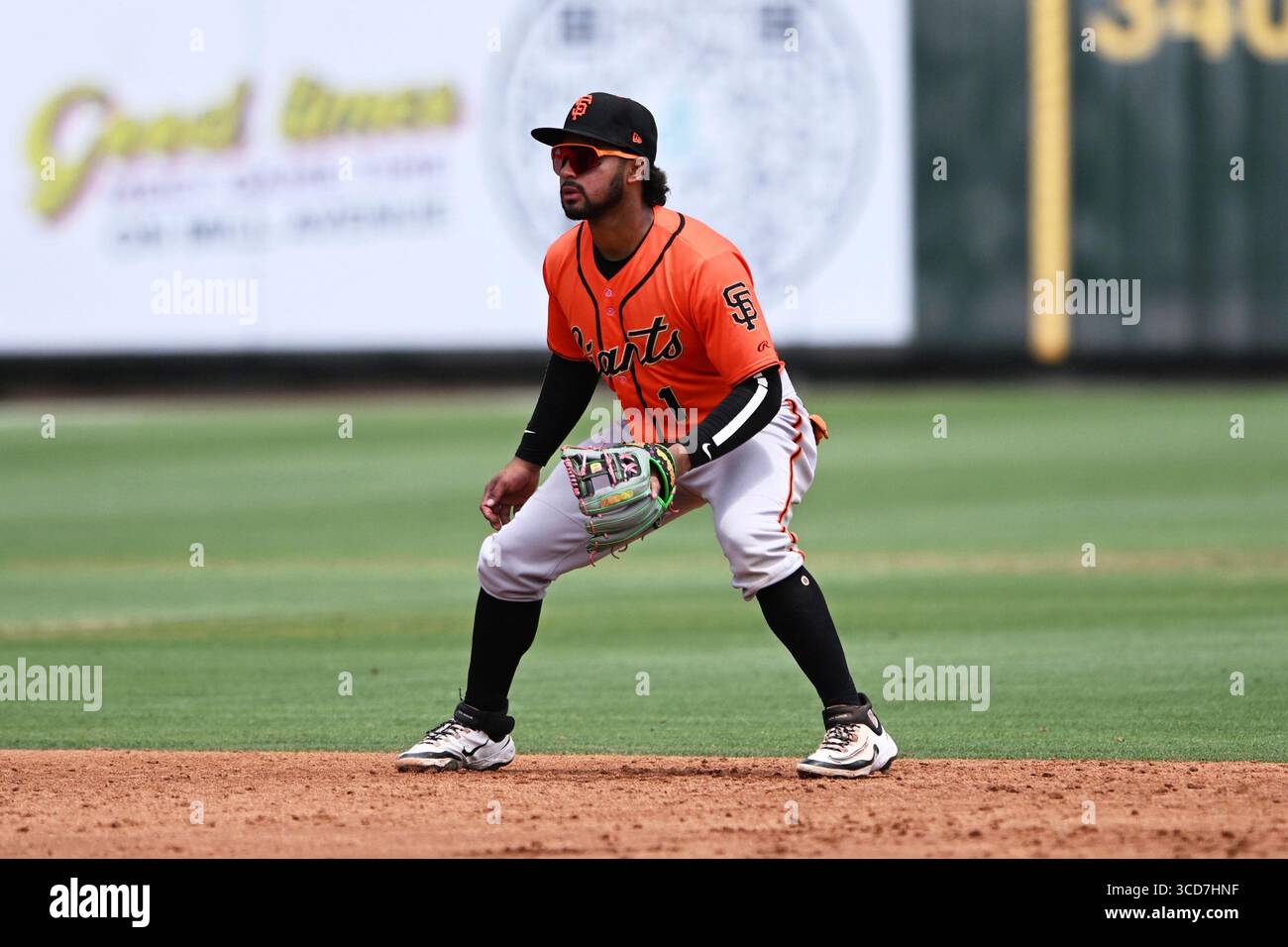 ACL Giants shortstop Jhonny Level (1) in a defensive stance during an ...