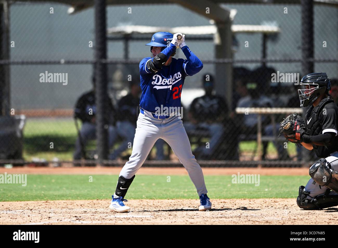 Charles Davalan (27) of the Los Angeles Dodgers at bat during a Bridge ...