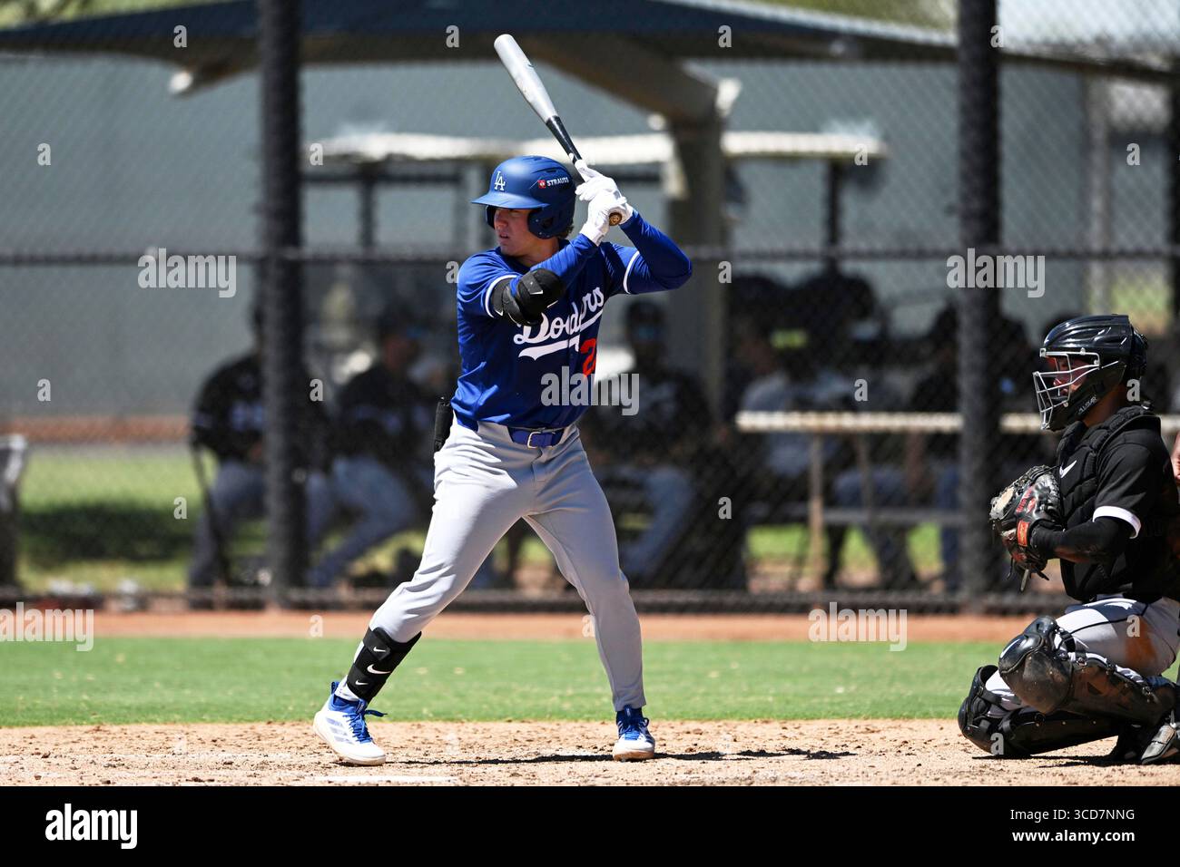 Charles Davalan (27) of the Los Angeles Dodgers at bat during a Bridge ...