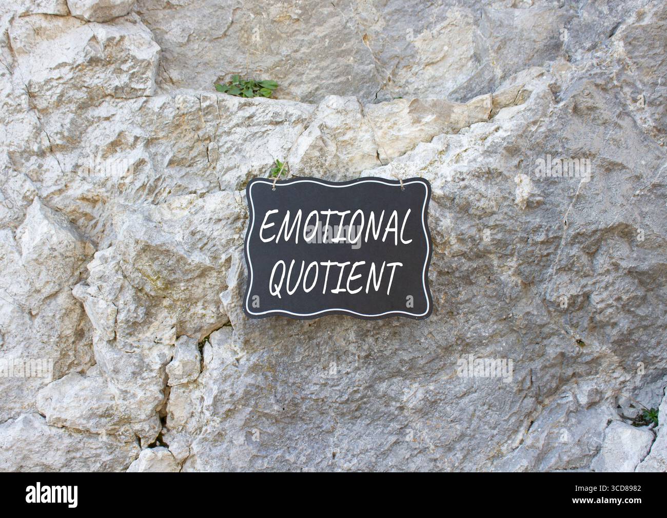 Emotional Quotient symbol. Stone wall with words Emotional Quotient ...