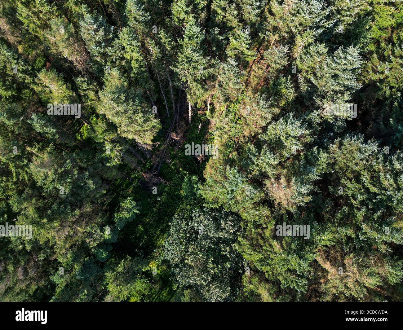 1979 ufo sighting scotland hi-res stock photography and images - Alamy