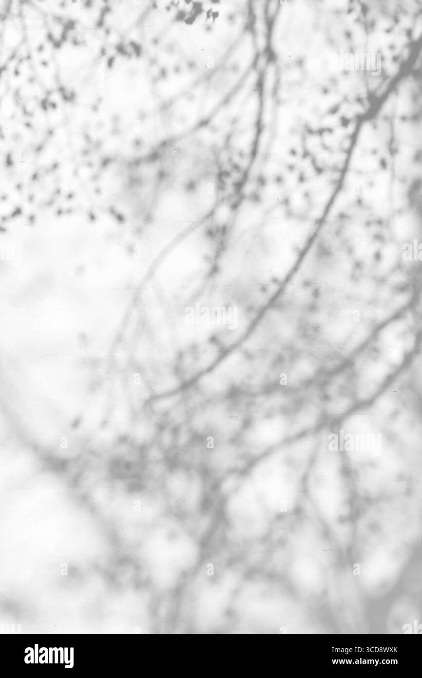 Overlay effects Black and White Stock Photos & Images - Alamy