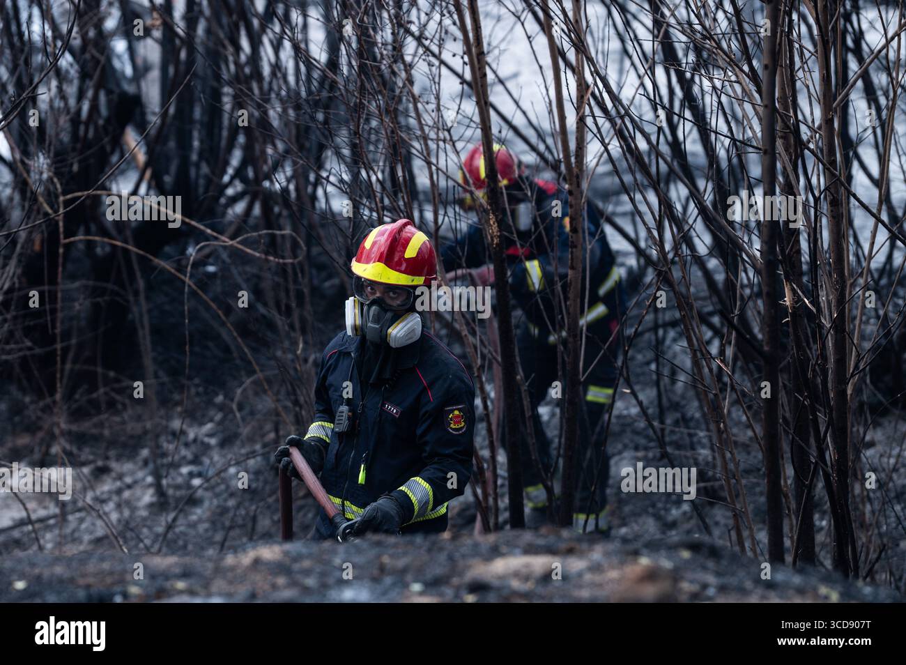 Madrid, Spain. 12th Aug, 2025. Firefighters working to extinguish the ...